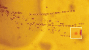 WOTT（WATER OPTIMIZING TOTAL TECHNOLOGY） | エステプロ・ラボ
